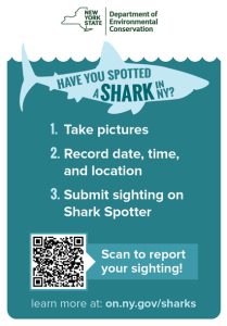 PEF marine biologist educates the public, first responders on shark ...